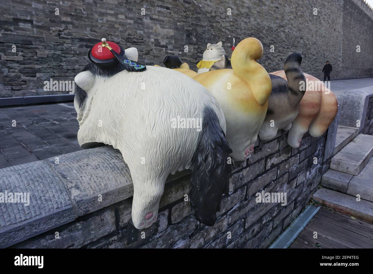 Cute giant cats were put at the Shenwu Gate of the Forbidden City in ...
