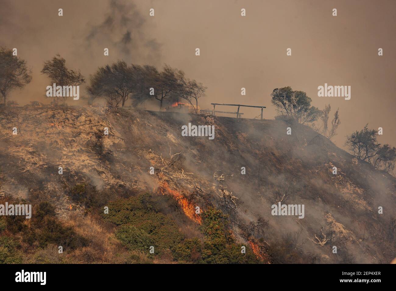Getty Fire Burns in Los Angeles. A small brush fire burns in the hills ...