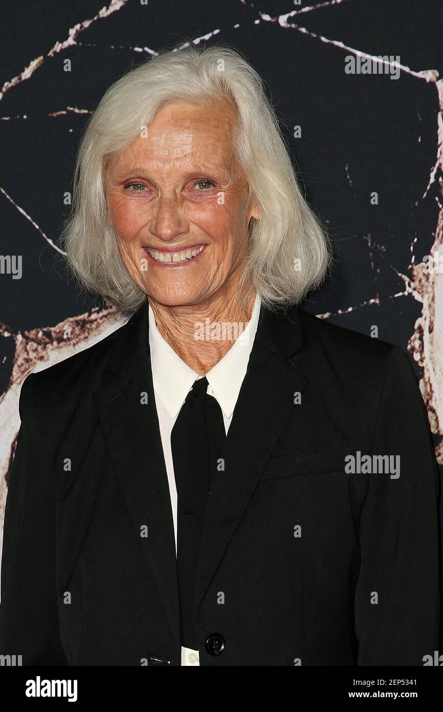 Sallye McDougald Hooks attends the Premiere Of Warner Bros Pictures ...