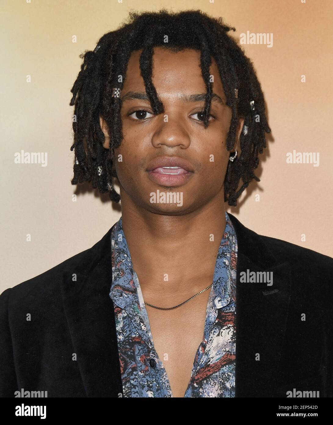 Henry Hunter Hall arrives at the HARRIET Los Angeles Premiere held at ...