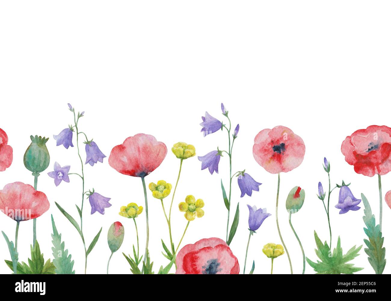 Seamless watercolor horizontal border with meadow wild flowers Stock ...