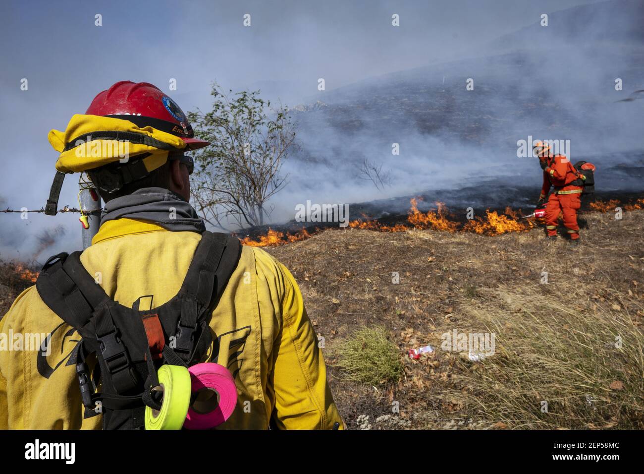 Firefighters conduct a controlled burn as they fight the Easy Fire near ...