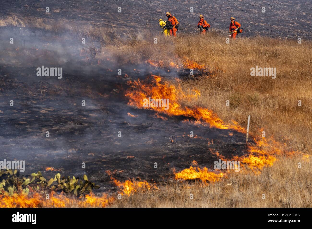 Firefighters conduct a controlled burn as they fight the Easy Fire near ...