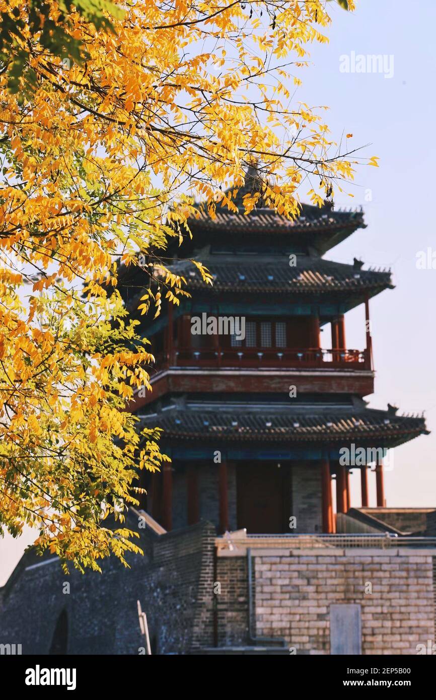 Leaves turning yellow and red as fall comes composes a wonderful part ...