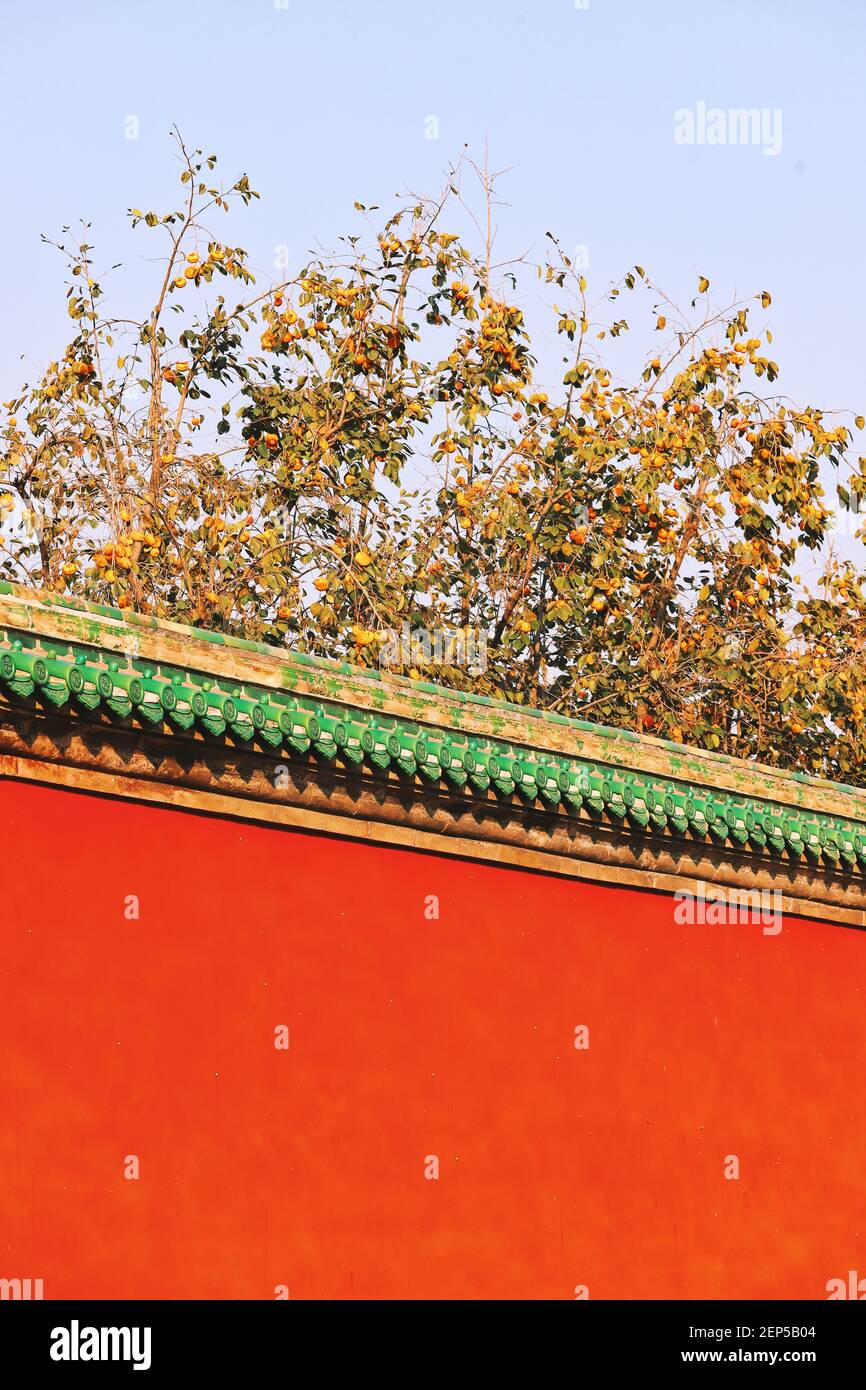 Leaves turning yellow and red as fall comes composes a wonderful part ...