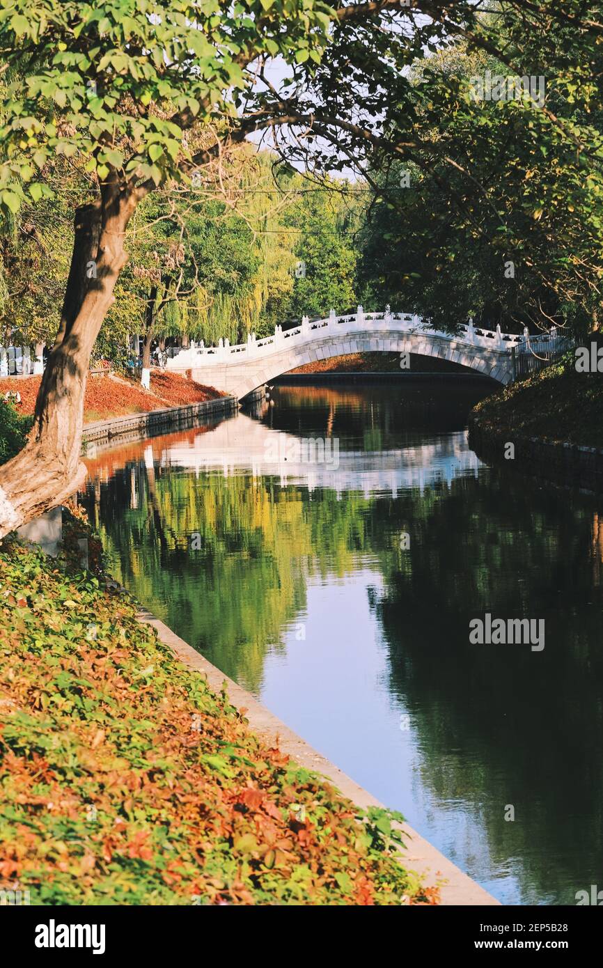 Leaves turning yellow and red as fall comes composes a wonderful part ...