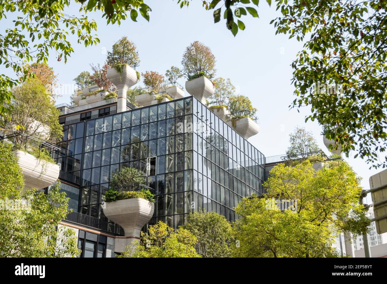 1000 trees, shanghai china hi-res stock photography and images - Alamy