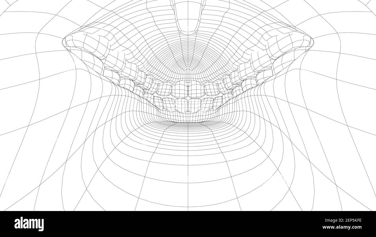 Wire-frame 3D teeth close up. Inside mouth Stock Vector Image & Art - Alamy