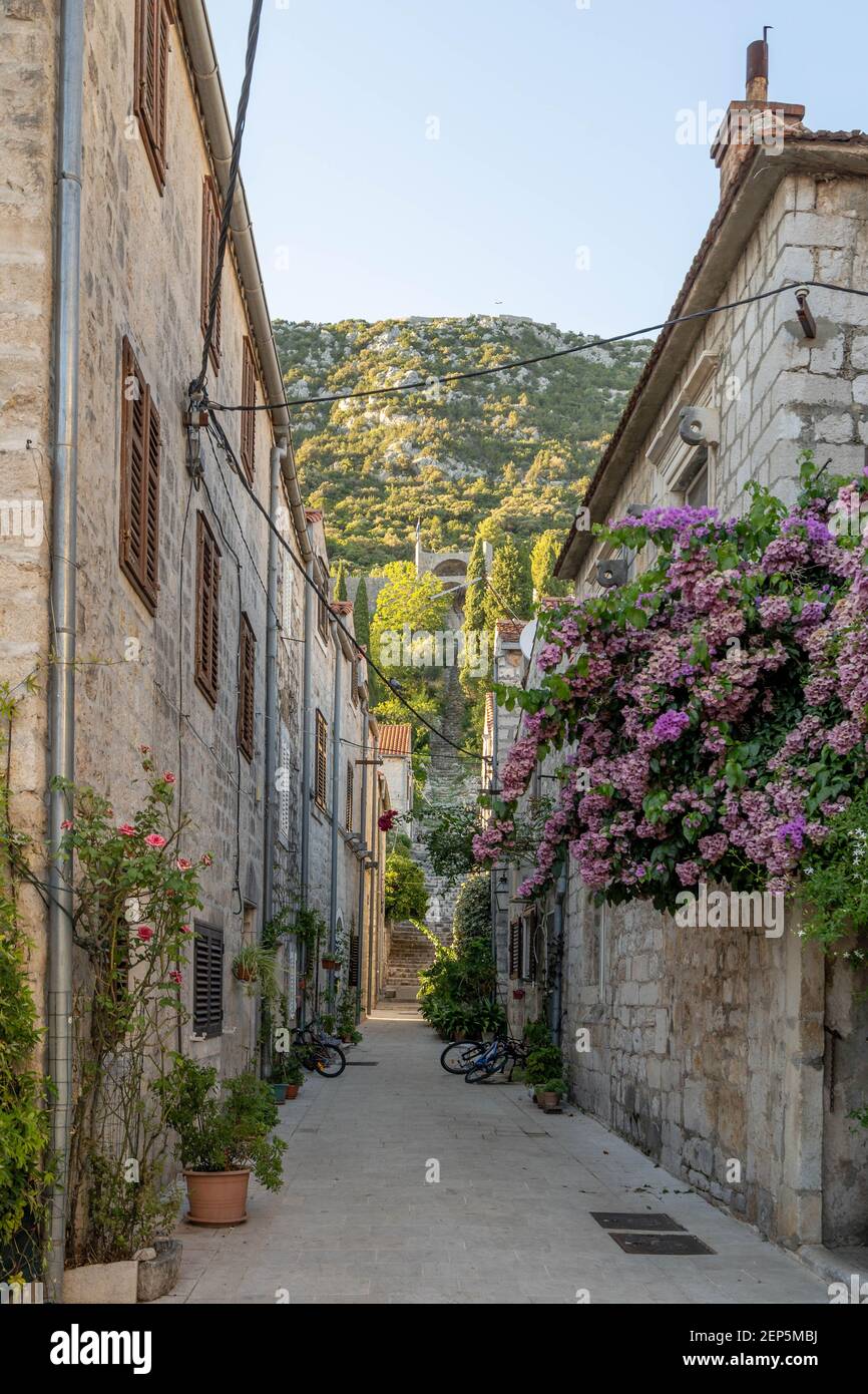 Ston croatia bike hi-res stock photography and images - Alamy