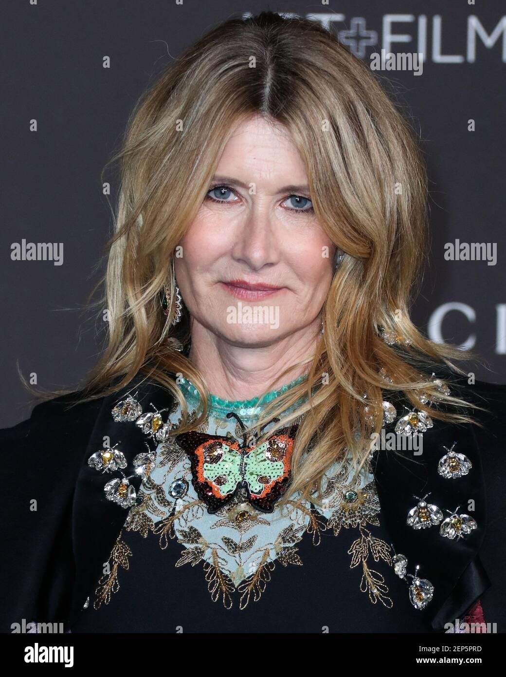 LOS ANGELES, CALIFORNIA, USA - NOVEMBER 02: Actress Laura Dern arrives ...