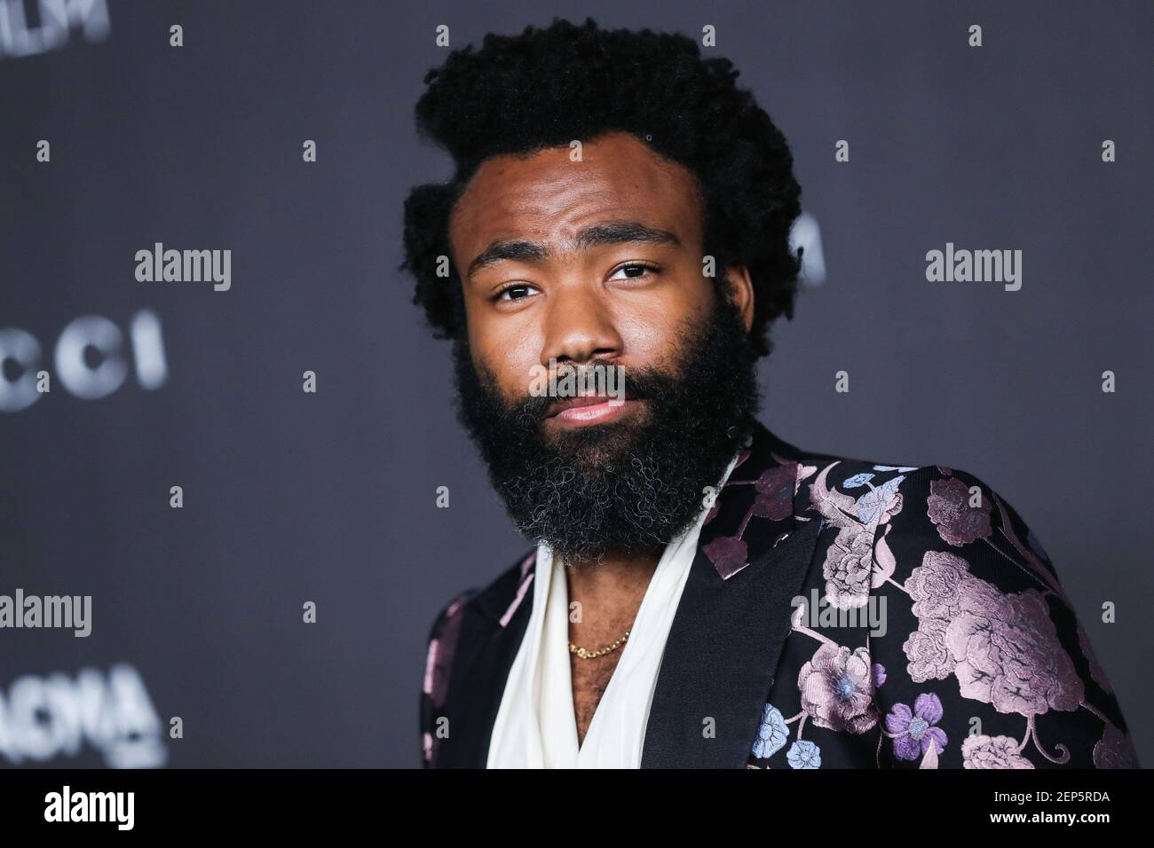 LOS ANGELES, CALIFORNIA, USA - NOVEMBER 02: Actor/musician Donald ...