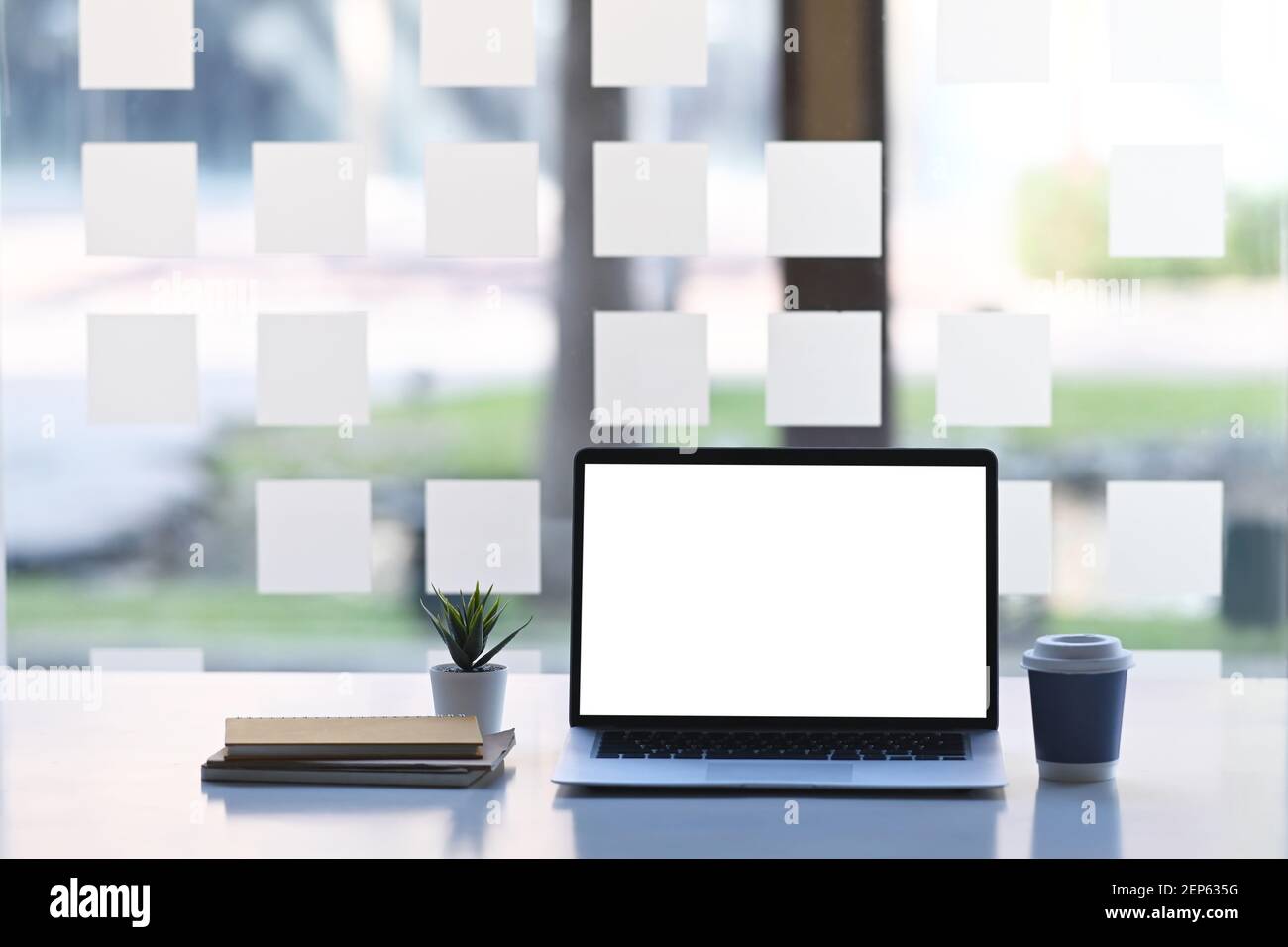 Front view of laptop computer, notebook and plant on office desk. Blank ...