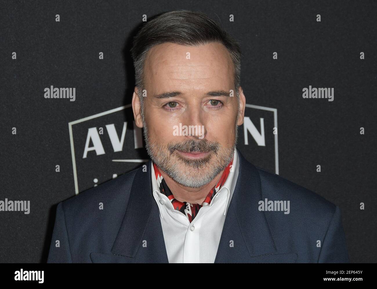 David Furnish arrives at The 23rd Annual Hollywood Film Awards held at ...