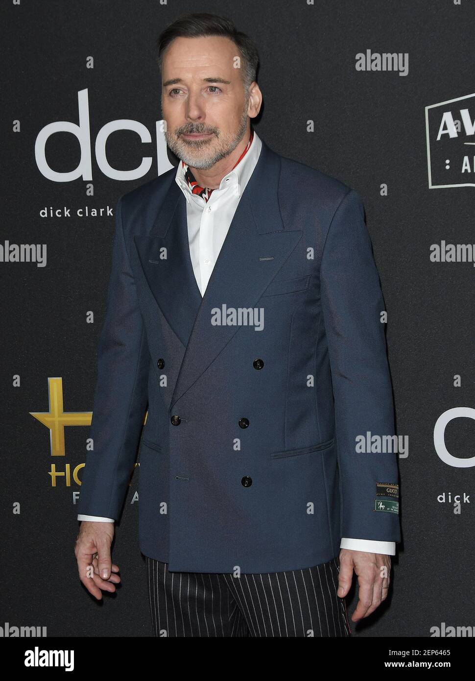 David Furnish arrives at The 23rd Annual Hollywood Film Awards held at ...