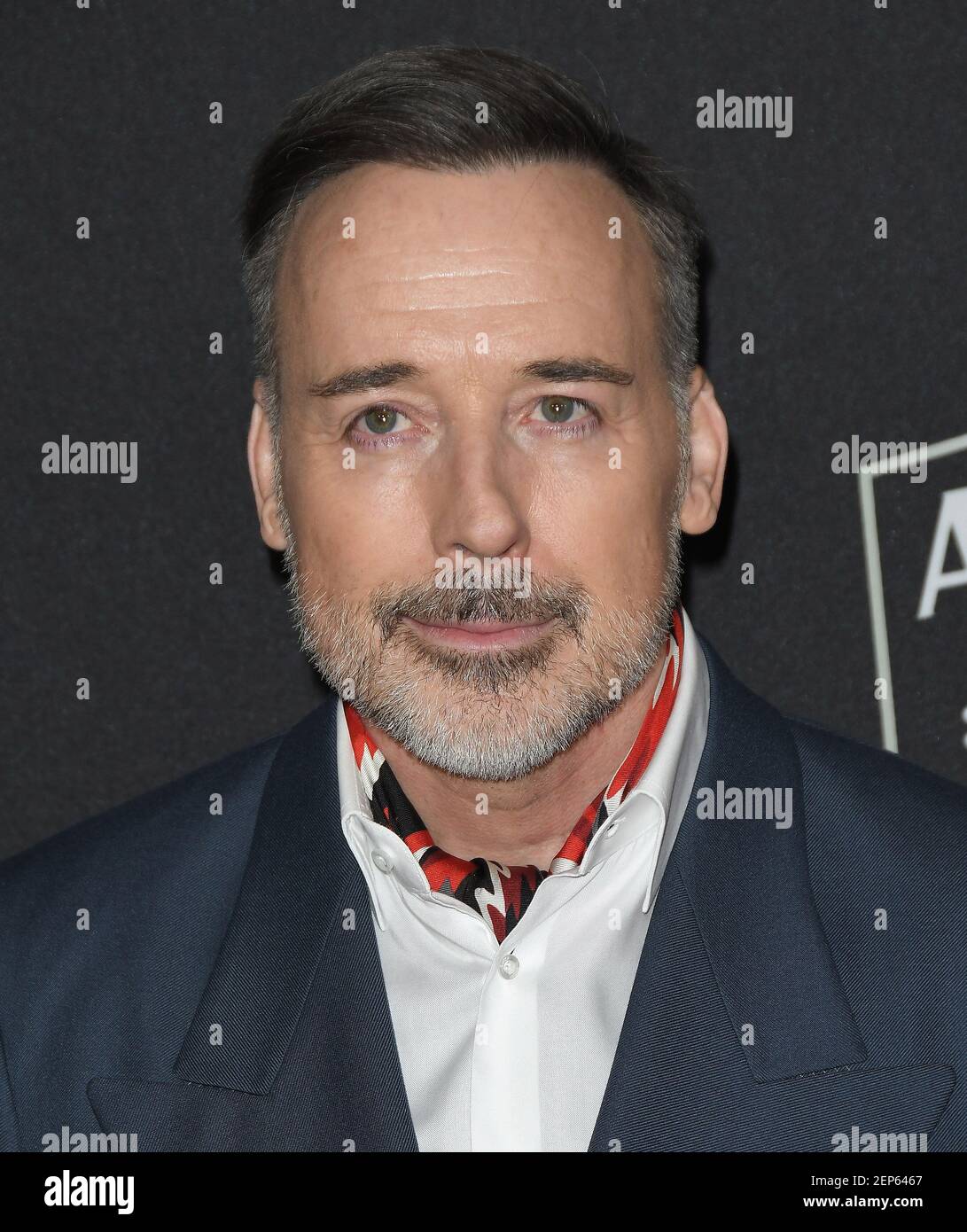 David Furnish arrives at The 23rd Annual Hollywood Film Awards held at ...