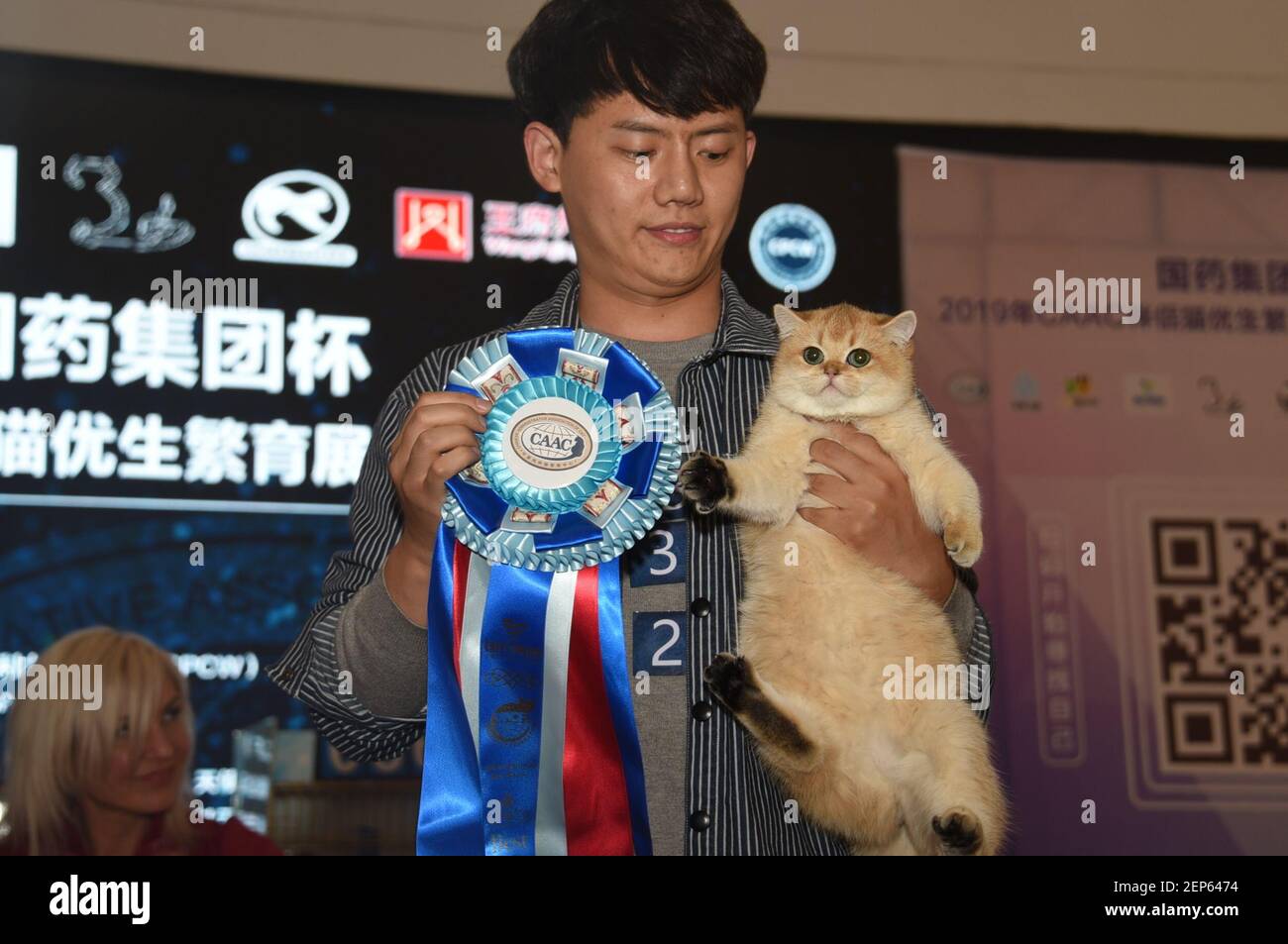 Henan,CHINA-The 2019 CAAC companion cat healthy birth breeding ...