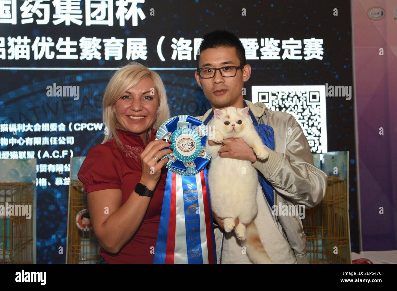 Henan,CHINA-The 2019 CAAC companion cat healthy birth breeding ...