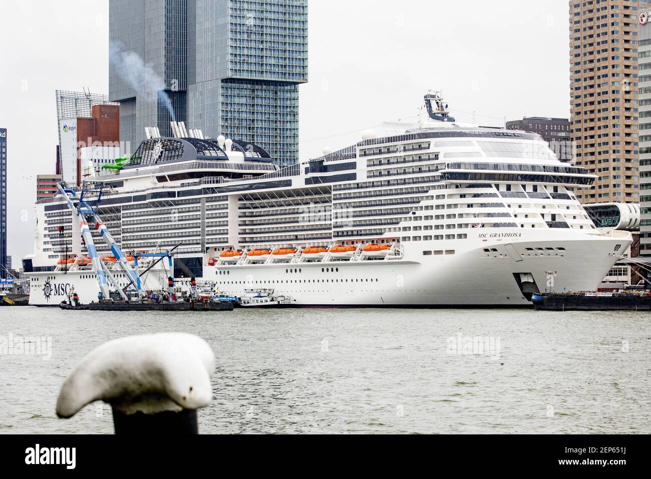 ROTTERDAM, Wilhelminakade, The MSC Grandiosa cruise ship entered the ...