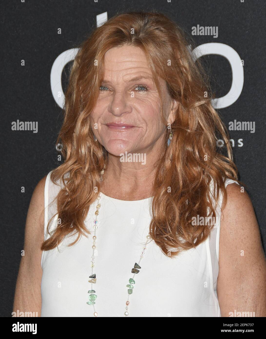 Dale Dickey Arrives At The 23rd Annual Hollywood Film Awards Held At The Beverly Hilton In