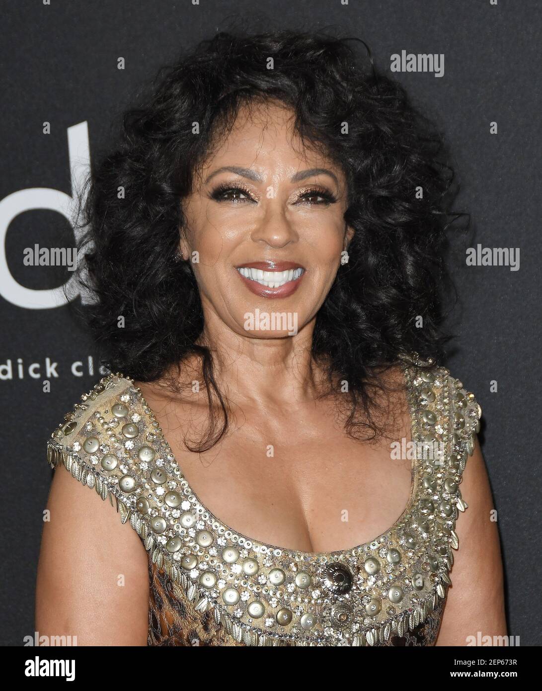 Debra Martin Chase arrives at The 23rd Annual Hollywood Film Awards ...
