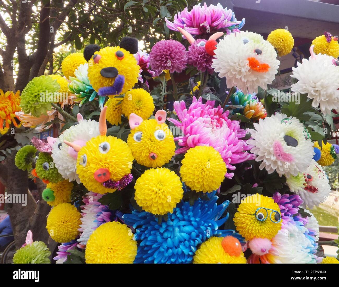 Flowers dressed up in goofy faces were presented in Tianbo Yang House ...