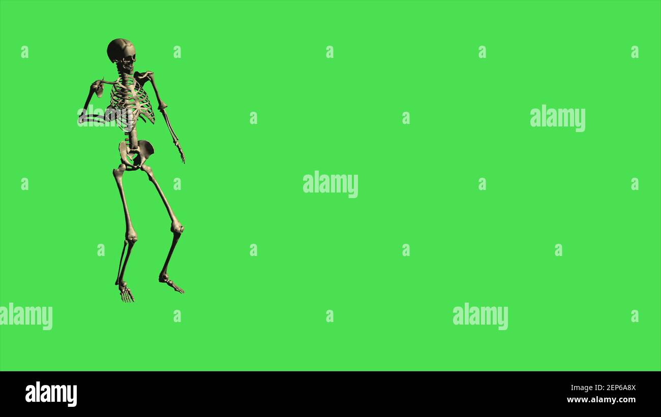 Skeleton Walking Hurt - 3d illustration Separate On Green Screen Stock ...