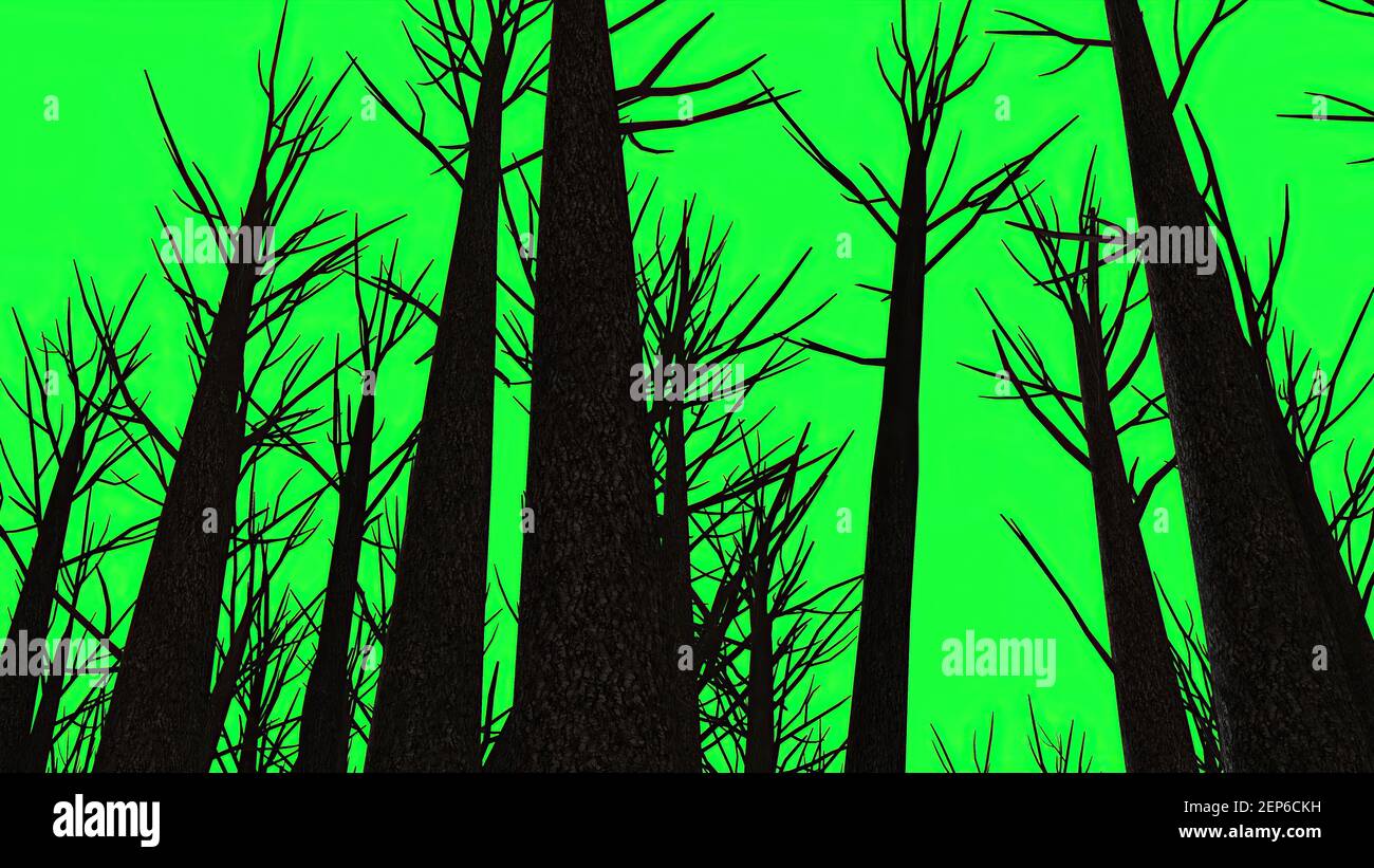 3d illustration - Animation Of Death Old Forest on green screen Stock ...