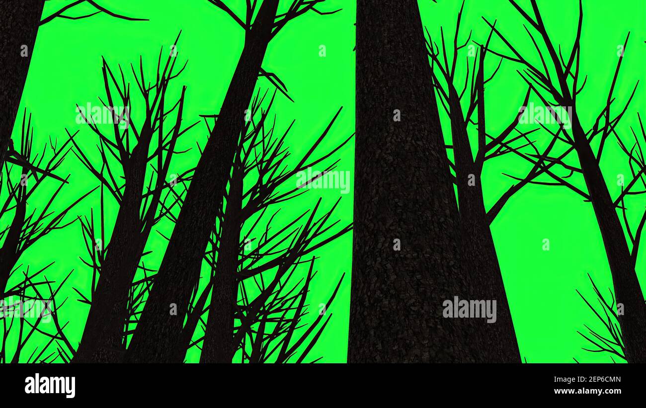 3d illustration - Animation Of Death Old Forest on green screen Stock ...