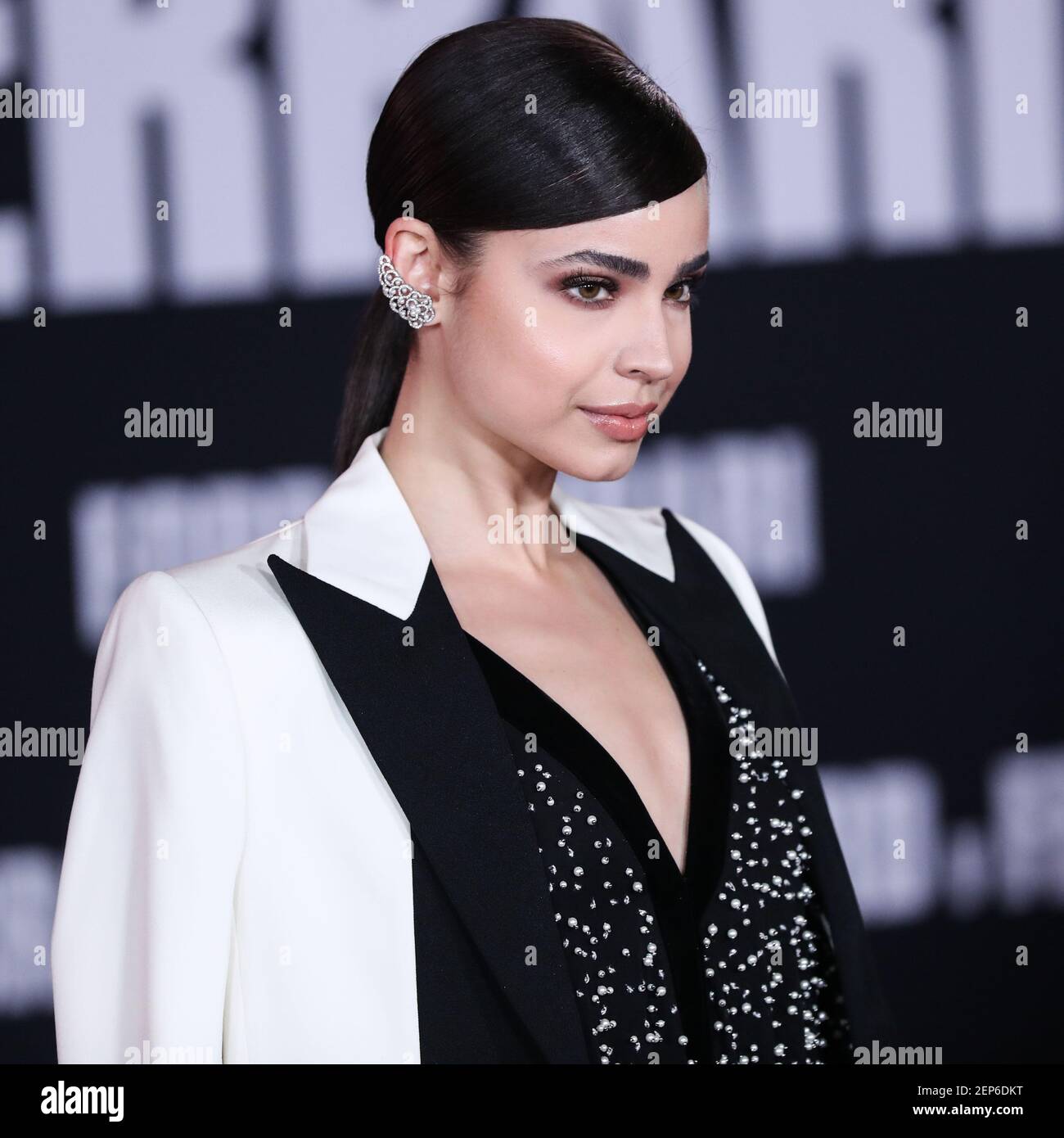 HOLLYWOOD, LOS ANGELES, CALIFORNIA, USA - NOVEMBER 04: Actress Sofia ...