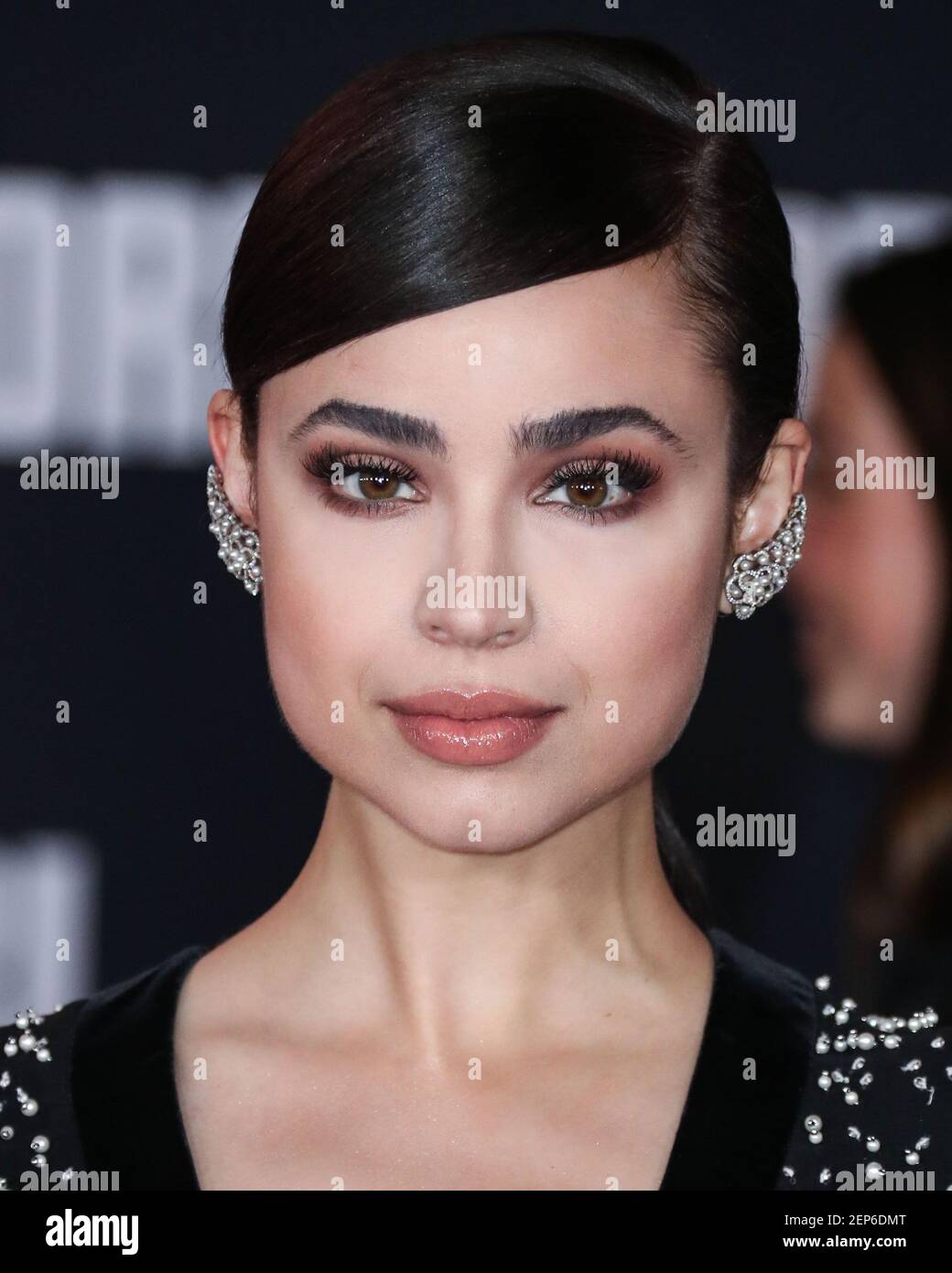 HOLLYWOOD, LOS ANGELES, CALIFORNIA, USA - NOVEMBER 04: Actress Sofia ...