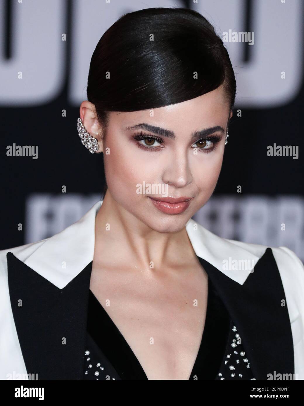 HOLLYWOOD, LOS ANGELES, CALIFORNIA, USA - NOVEMBER 04: Actress Sofia ...