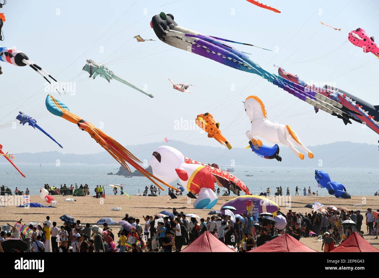 People are flying kites at 2019 Xiamen kite festival on beach in Xiamen ...