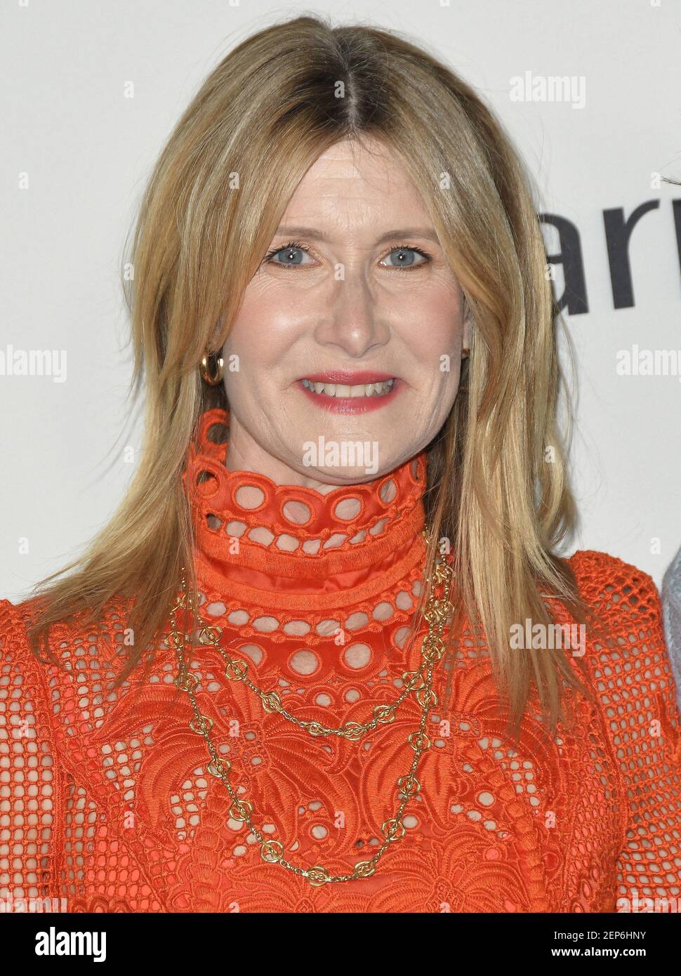 Laura Dern arrives at Netflix’s MARRIAGE STORY Los Angeles Premiere ...