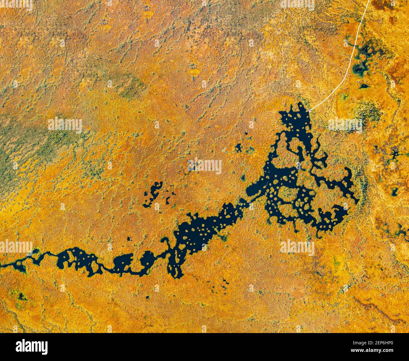 Miory District, Vitebsk Region, Belarus. The Yelnya Swamp. Upland And ...