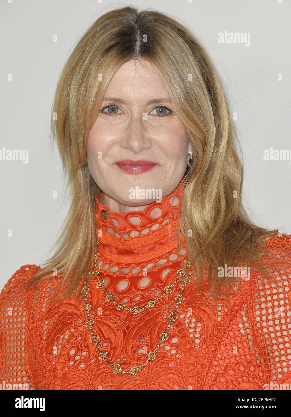 Laura Dern arrives at Netflix’s MARRIAGE STORY Los Angeles Premiere ...