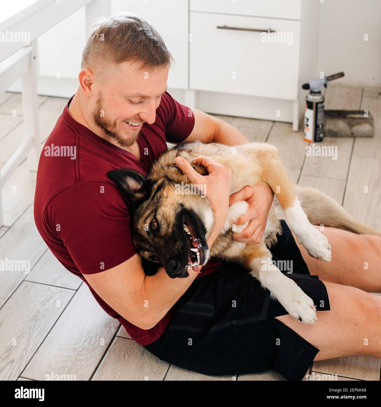 Large Breed Dogs High Resolution Stock Photography and Images - Alamy