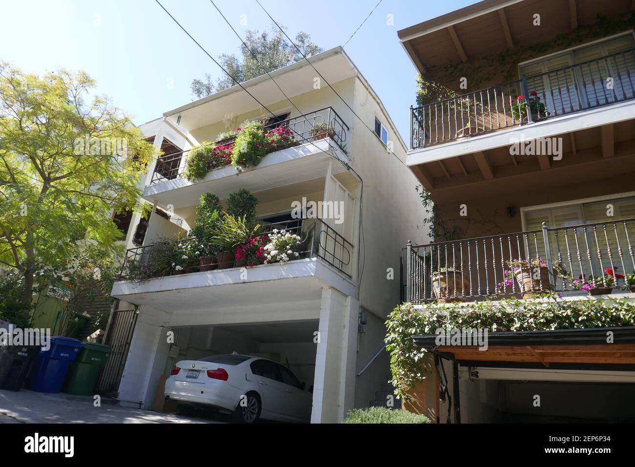 Wonderland Murder Victims