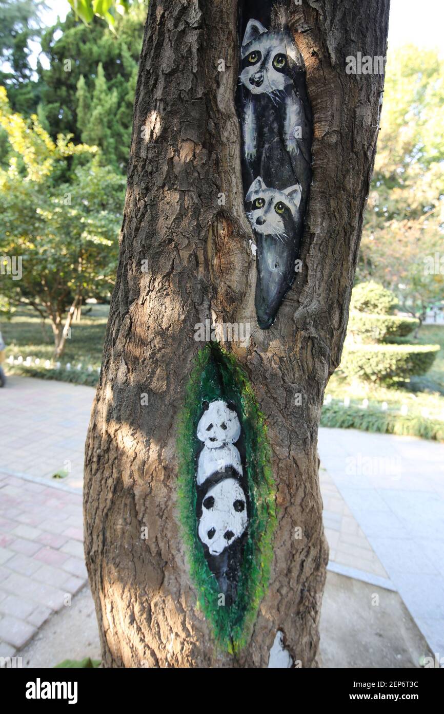 Pandas (bottom) and foxes (top) are painted on the tree in Haibohe Park ...
