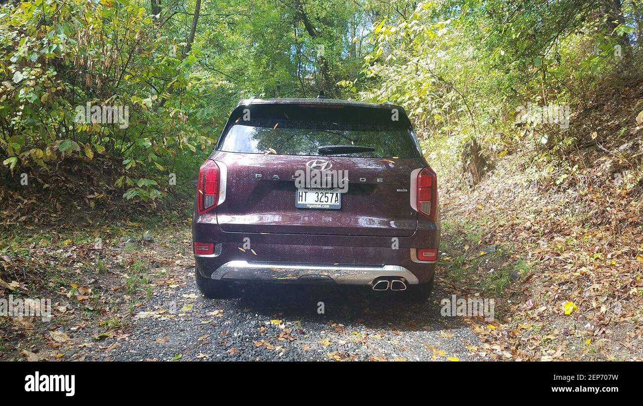 The 2020 Hyundai Palisade rear end is nicely appointed - including ...