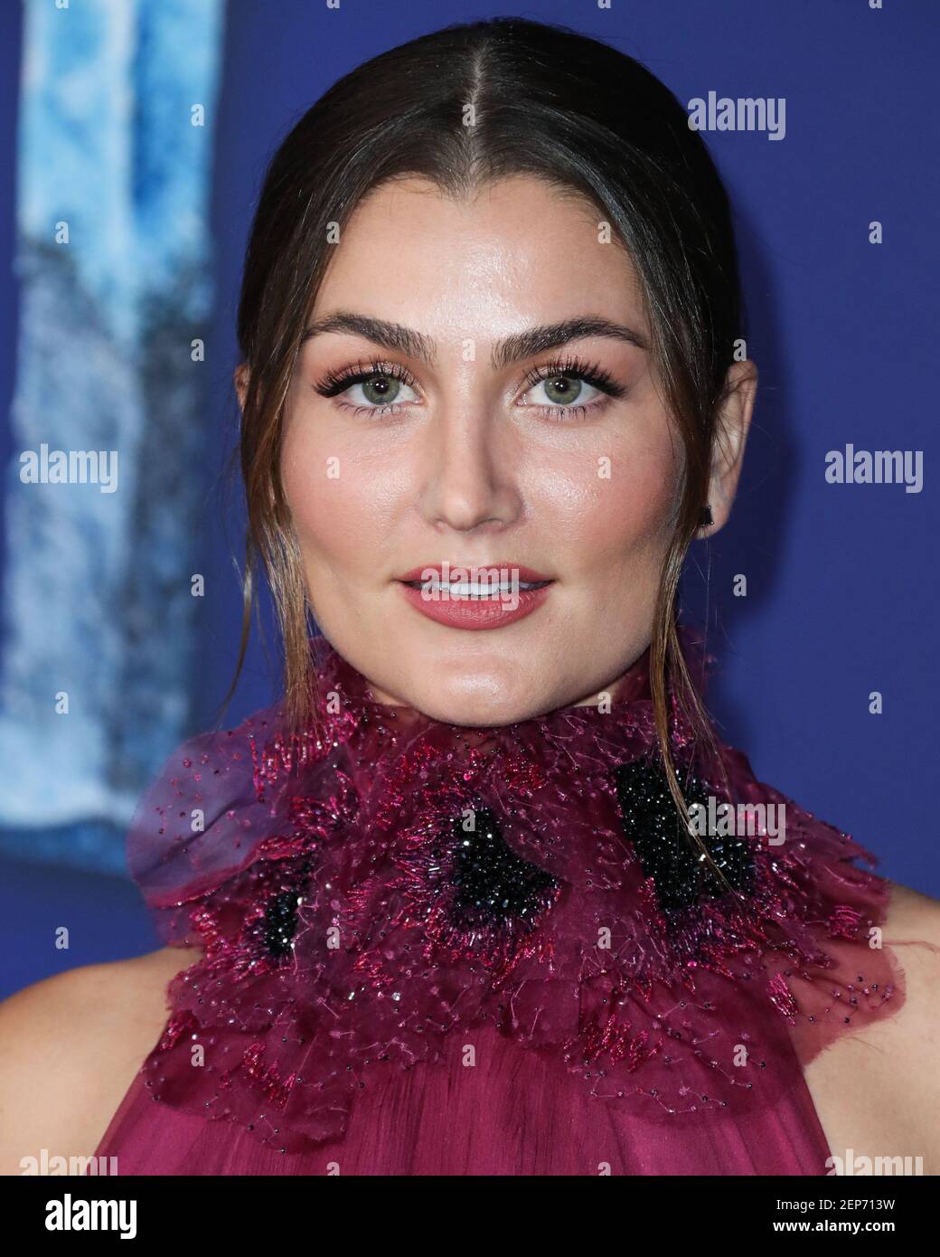 HOLLYWOOD, LOS ANGELES, CALIFORNIA, USA - NOVEMBER 07: Actress Rachel ...