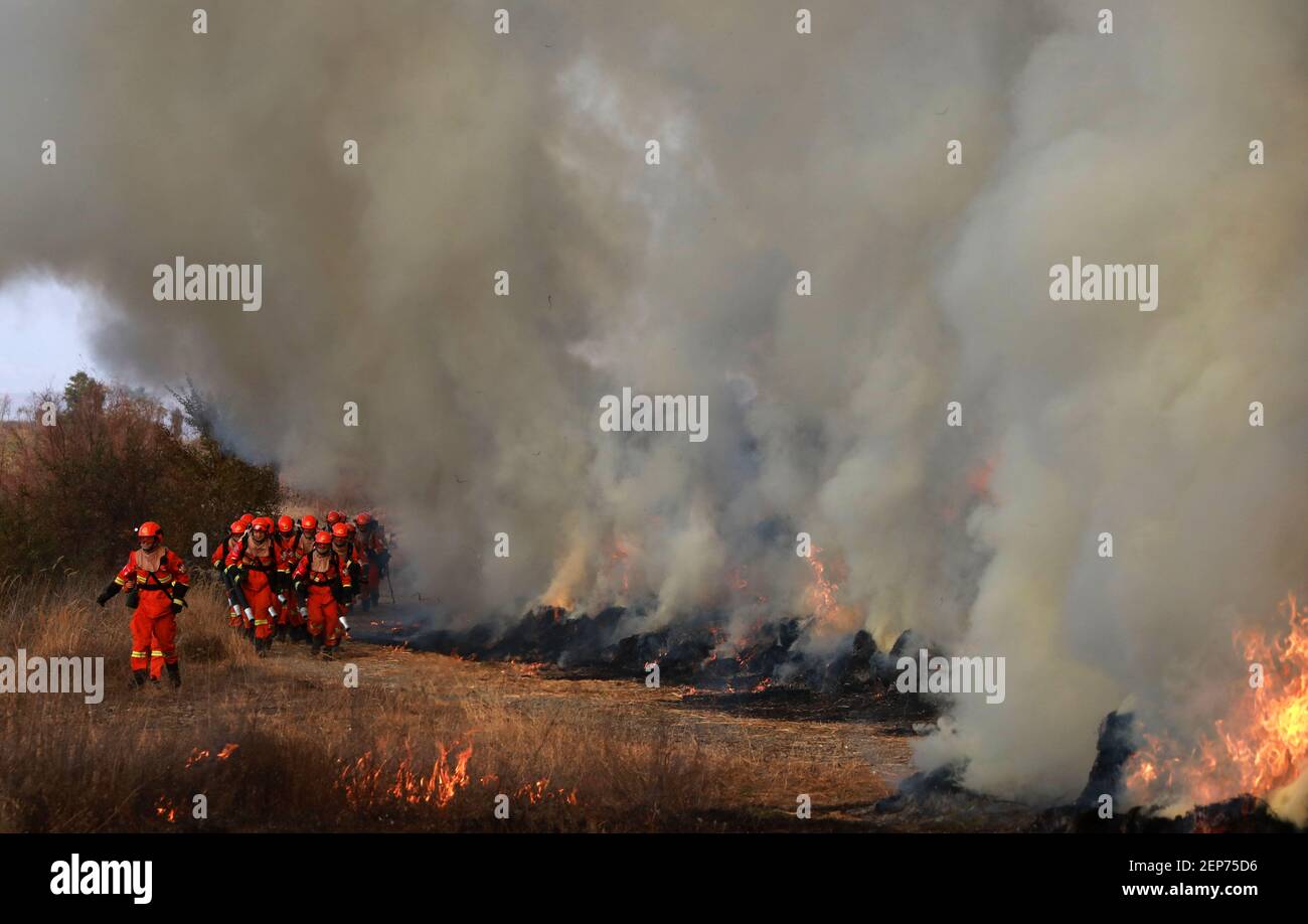 In this unlocated photo, Forest Fire Brigade of Gansu province ...