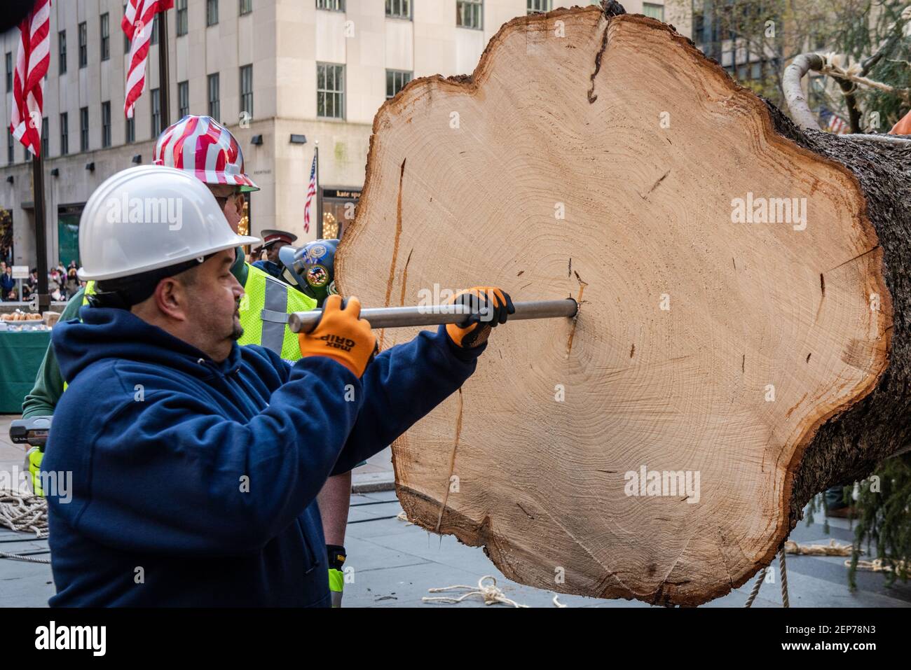 A member of the 2019 Rockefeller Center Christmas Tree installation ...