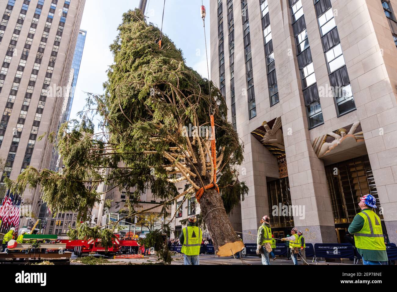 The 2019 Rockefeller Center Christmas Tree, a 77-feet tall Norway ...