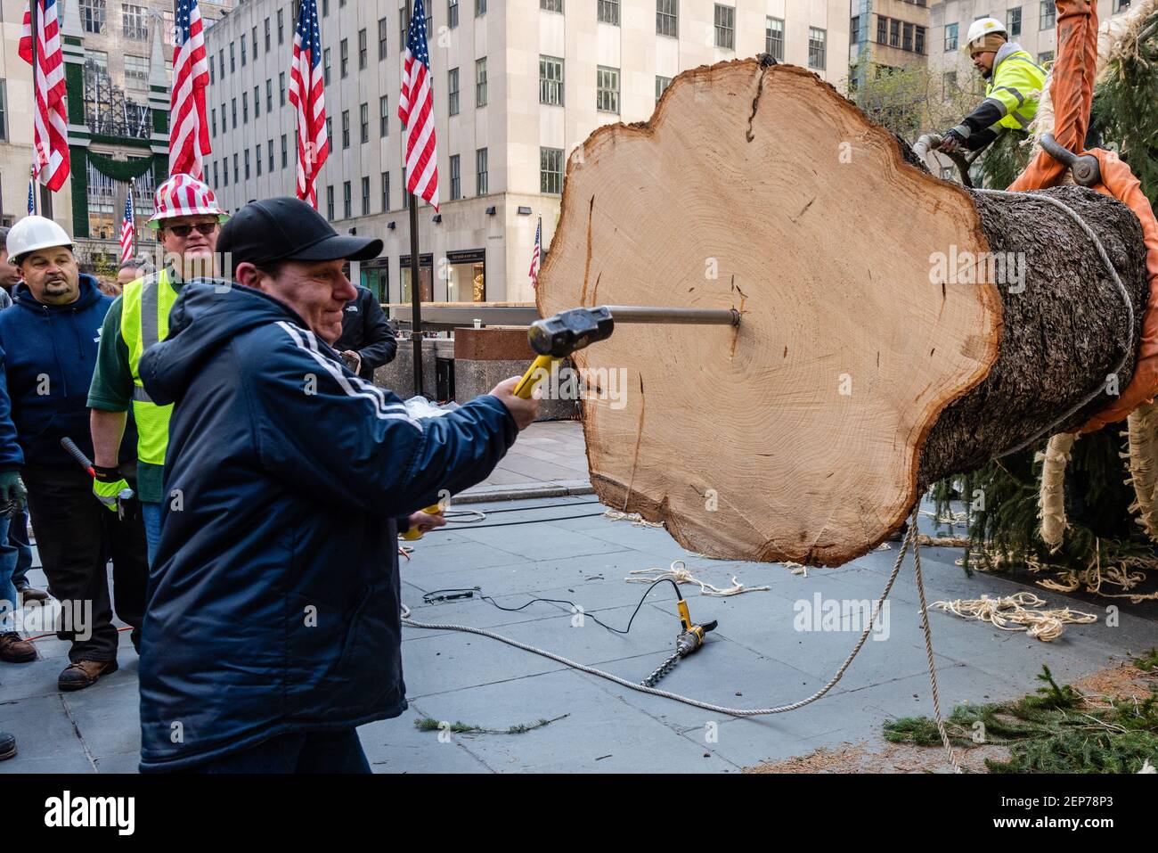 A son of Carol Schultz, the donor of the 77-feet tall Norway Spruce ...