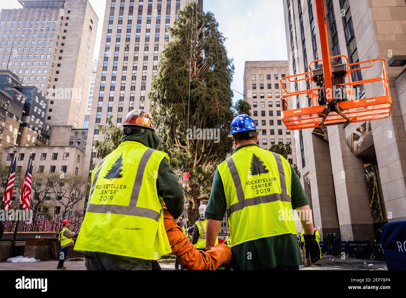 The 2019 Rockefeller Center Christmas Tree, a 77-feet tall Norway ...