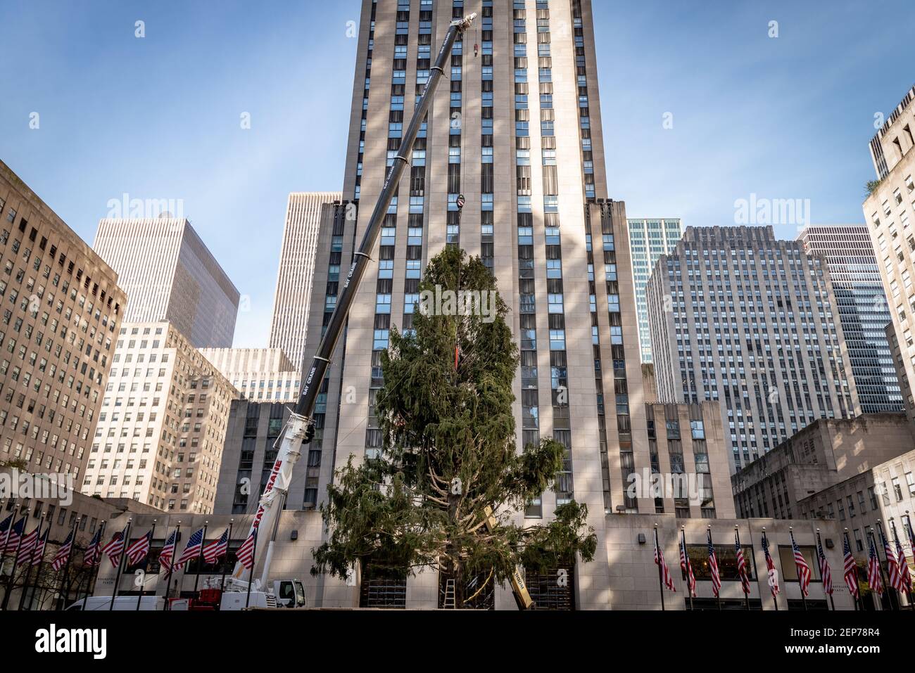 The 2019 Rockefeller Center Christmas Tree, a 77-feet tall Norway ...