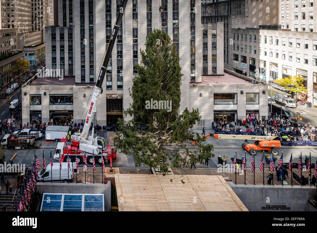 The 2019 Rockefeller Center Christmas Tree, a 77-feet tall Norway ...