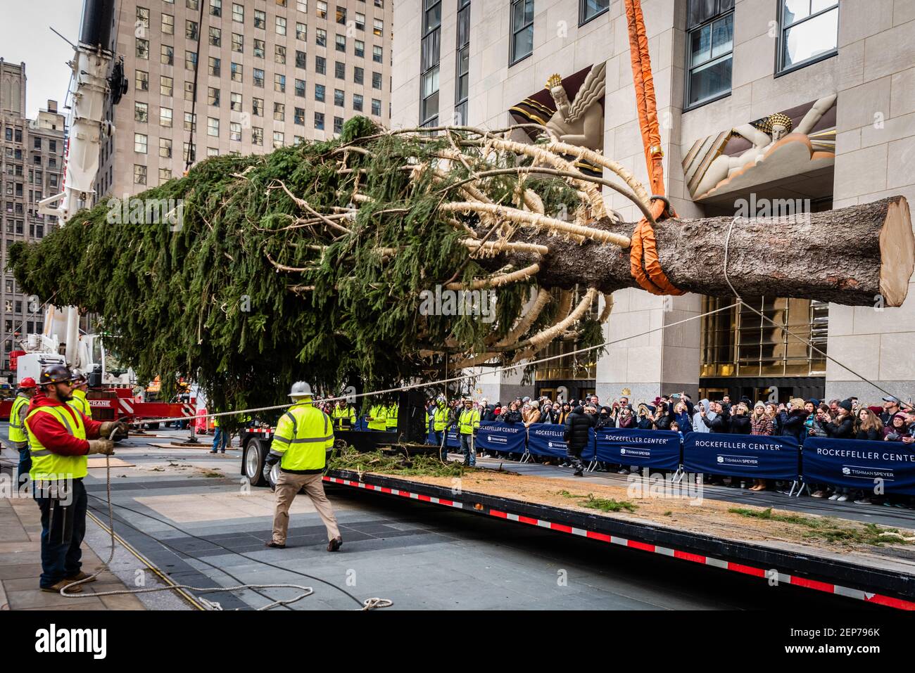 The 2019 Rockefeller Center Christmas Tree, a 77-feet tall Norway ...