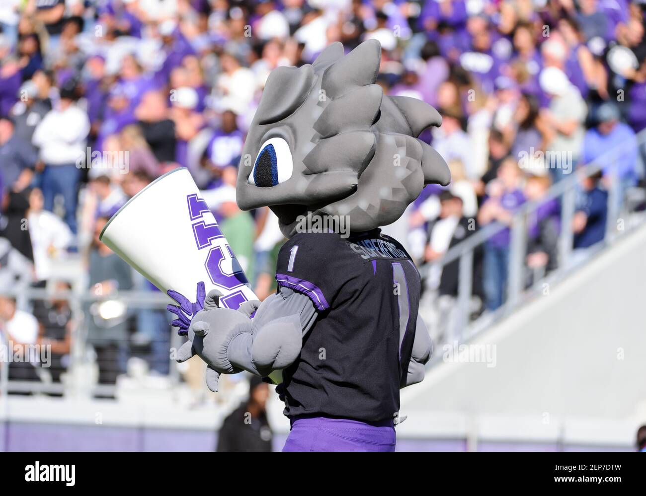 November 9 2019: TCU Horned Frogs mascot during overtime at the NCAA ...