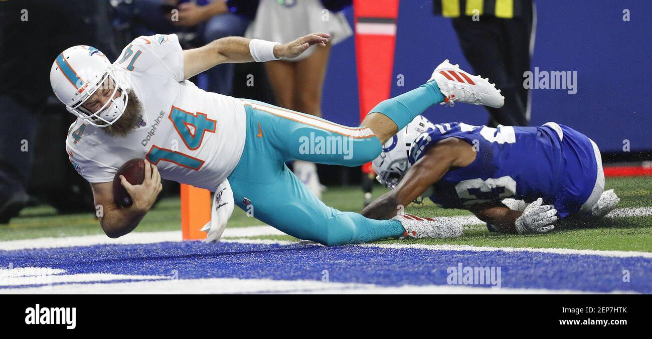 Miami Dolphins quarterback Ryan Fitzpatrick (14) scores a touchdown on ...